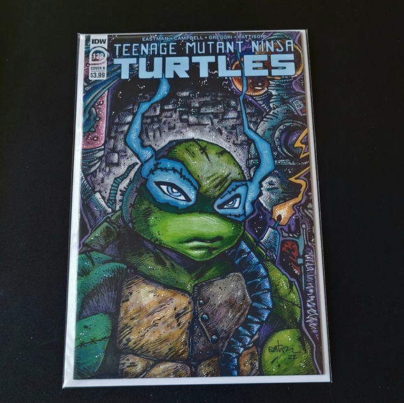 IDW Publishing | Other | Teenage Mutant Ninja Turtles 29 | Poshmark